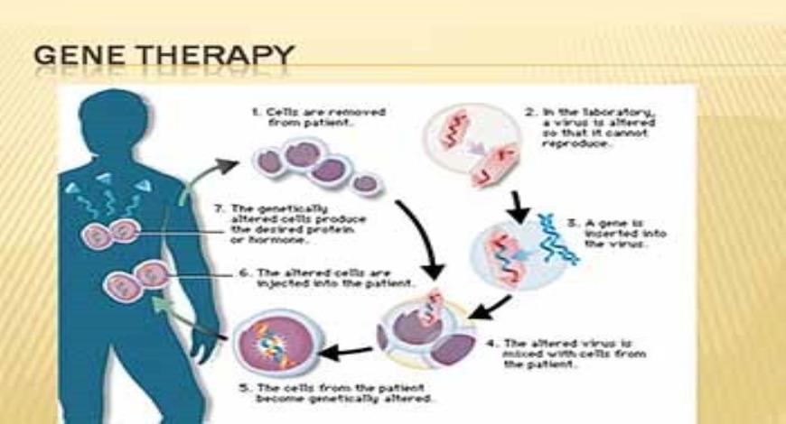 Download Free Medical Advances in Genetics PowerPoint Presentation