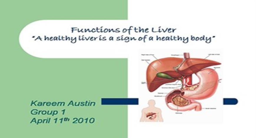 Download Free Medical Functions of the Liver PowerPoint Presentation