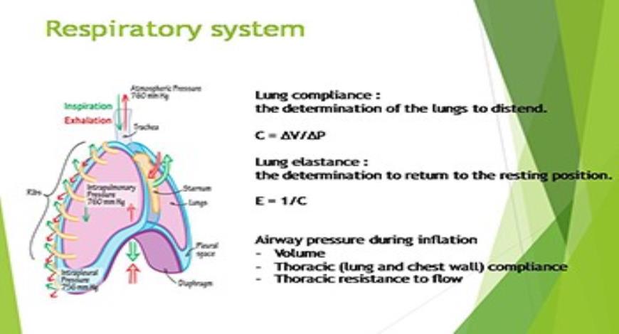 Download Free Medical Pressure-Volume Curves of Respiratory System ...