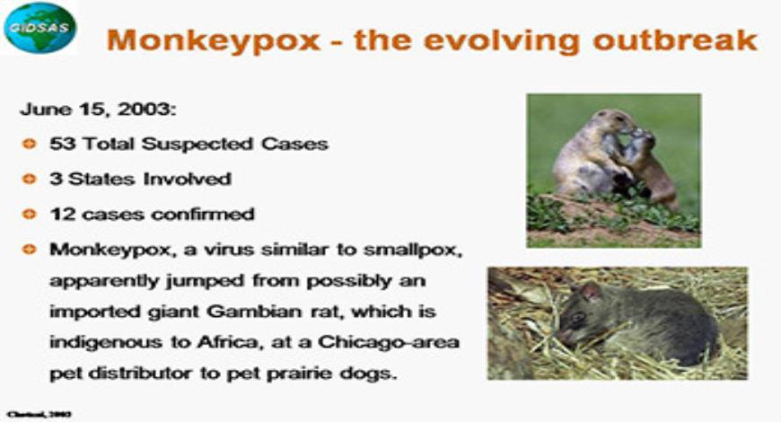 Download Free Medical Monkeypox Outbreak in the US PowerPoint Presentation