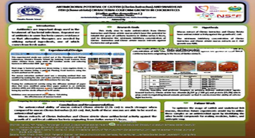 Download Free Medical Bio Antimicrobial PowerPoint Presentation