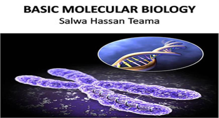 Download Free Medical Basic Molecular Biology PowerPoint Presentation