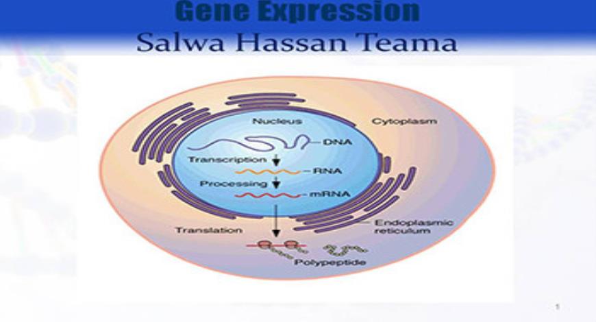 Download Free Medical Gene Expression PowerPoint Presentation