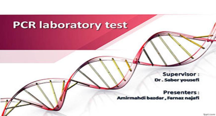 Download Free Medical PCR Test PowerPoint Presentation