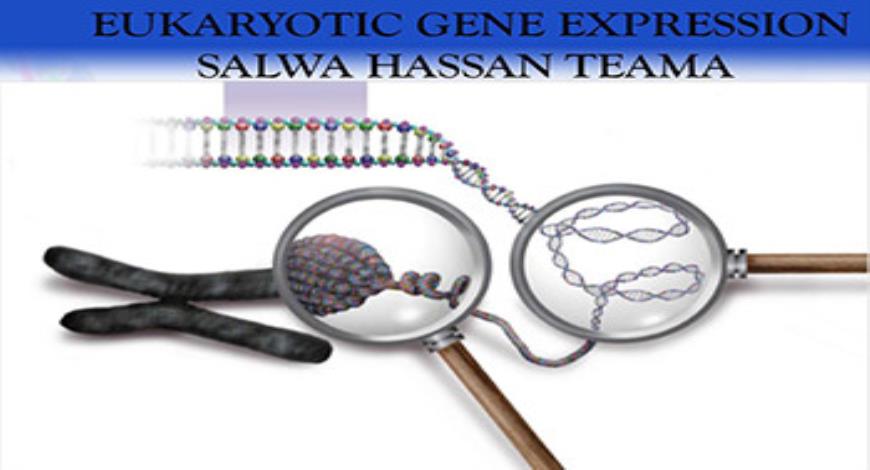 Download Free Medical EUKARYOTIC GENE EXPRESSION PowerPoint Presentation