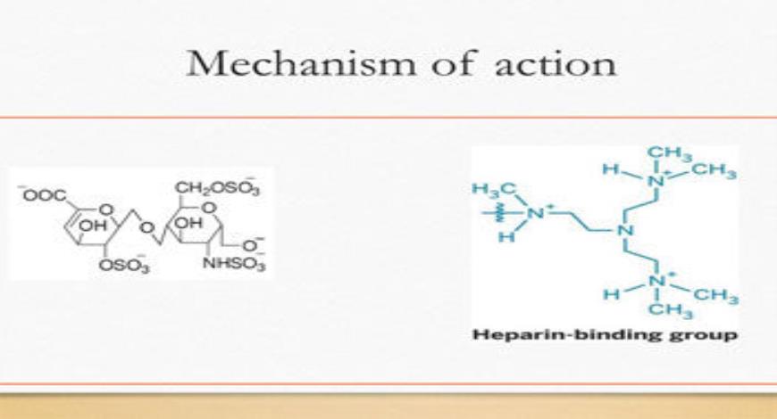 Download Medical Notes on Protamine Indication And Dosage