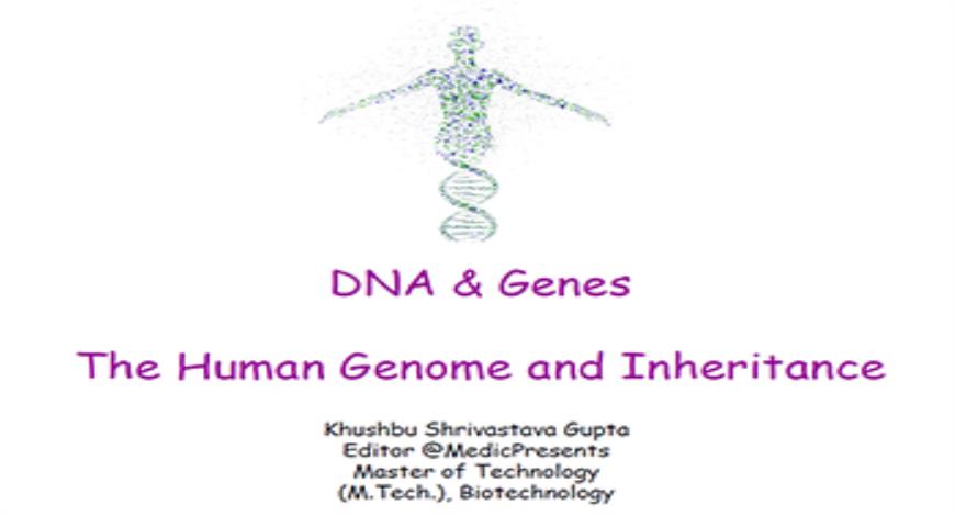 DNA & Genes - The Human Genome and Inheritance