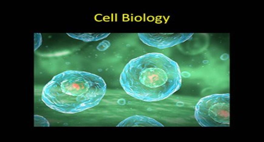 Cell Biology Medical Presentation