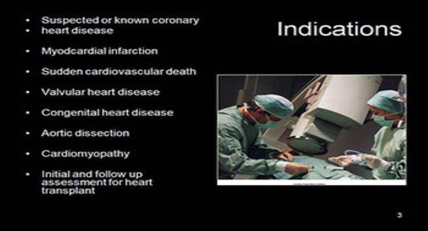 Download Free Medical Cardiac Cath PowerPoint Presentation