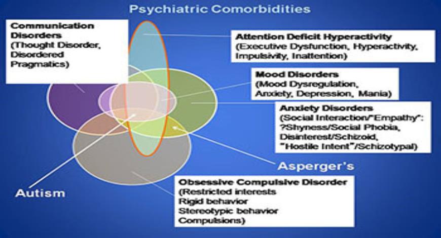 Download Free Medical Incidence of Autism Spectrum Disorders PowerPoint ...