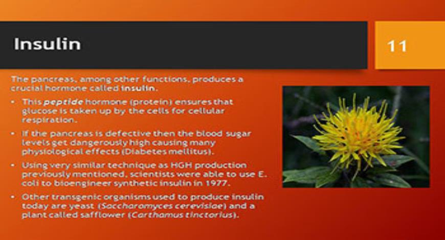 Download Free Medical Genetic Engineering Techniques PowerPoint ...