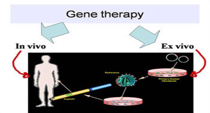 Download Free Medical Gene Therapy PowerPoint Presentation