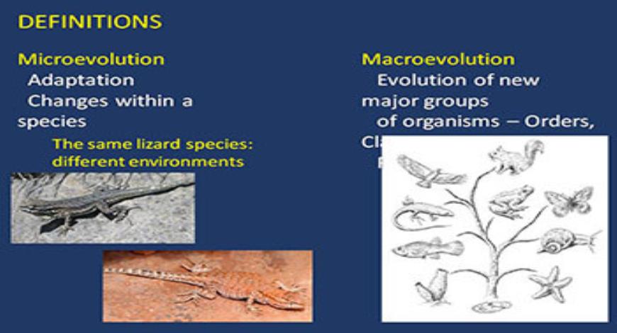 Download Free Medical Evolution and Modern Molecular Biology Evidence ...
