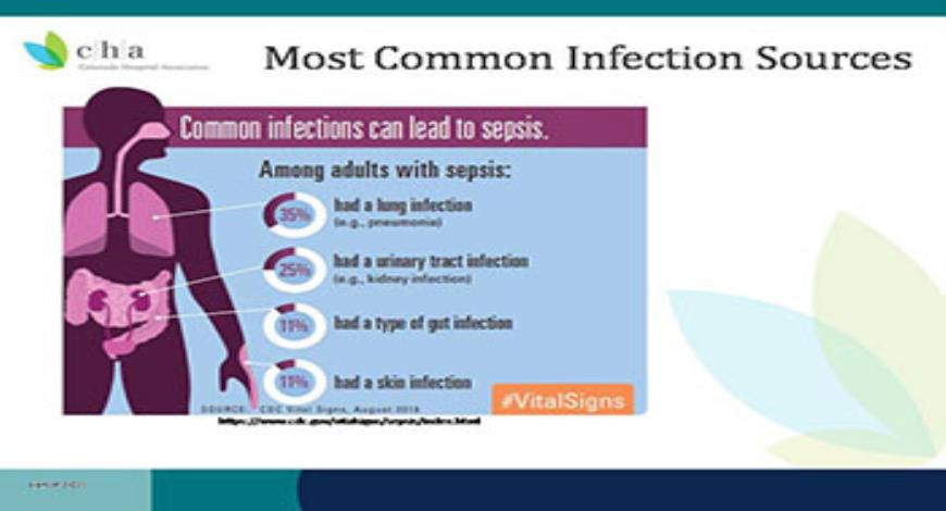 Download Free Medical Sepsis 101 PowerPoint Presentation