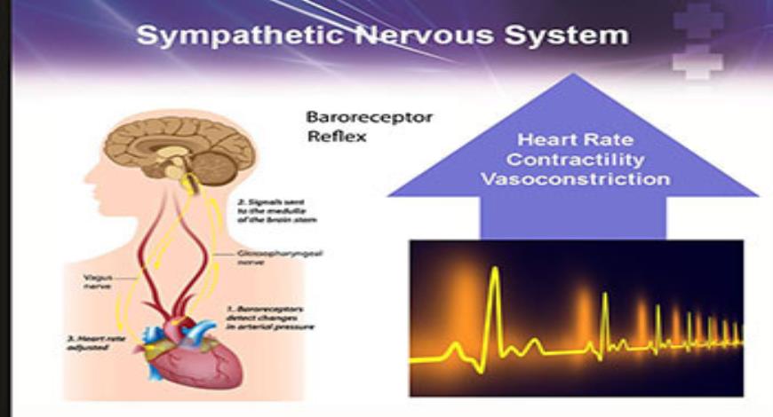 Download Free Medical Hemorrhagic Shock PowerPoint Presentation