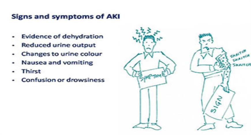 Download Free Medical Acute Kidney Injury-AKI PowerPoint Presentation