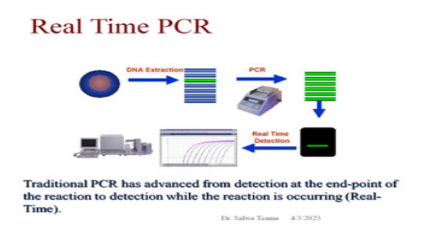 Download Medical Notes on REAL TIME PCR