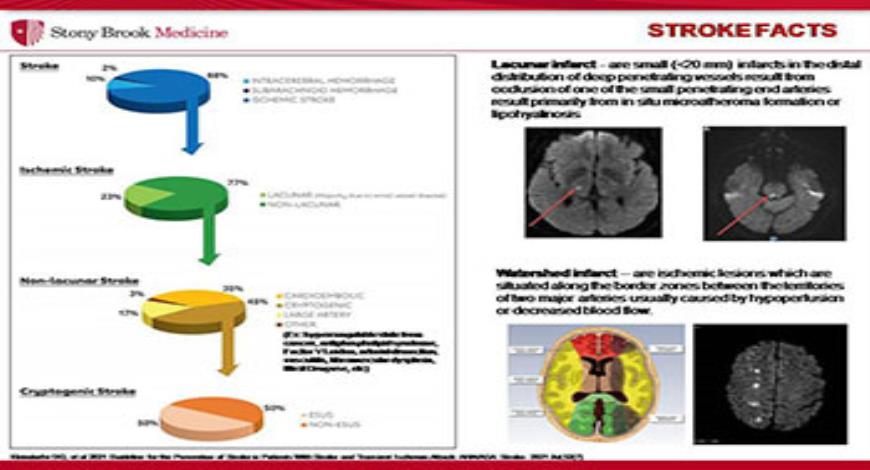 Download Free Medical Stroke PowerPoint Presentation