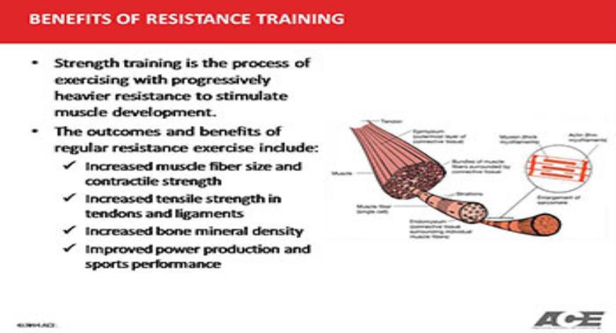 Download Free Medical Resistance Training-Programming and Progressions ...
