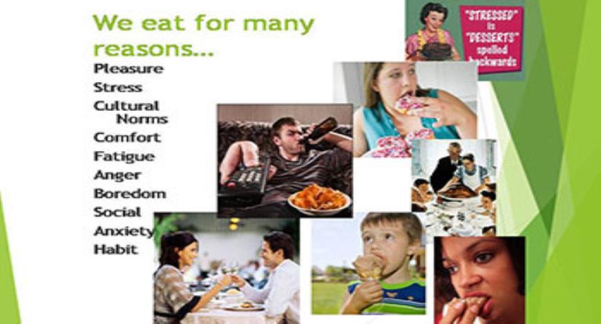 Download Free Medical Mindful Eating vs Mindless Eating PowerPoint ...