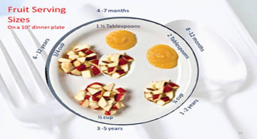 Download Free Medical Serving Sizes Vs Portion Sizes PowerPoint ...