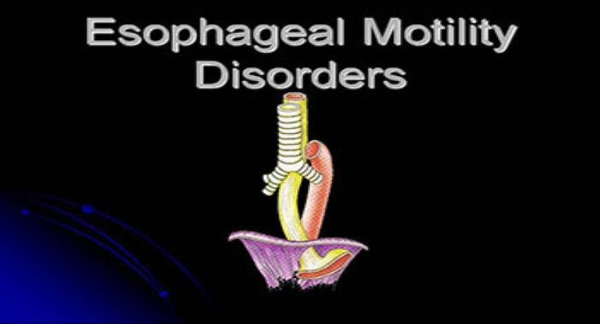 Download Free Medical Esophageal Disorders PowerPoint Presentation