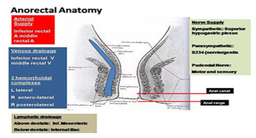 Download Free Medical Anal Canal Fissure In ANO Haemorrhoids PowerPoint Presentation