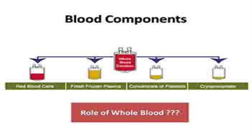 Download Free Medical Blood Component Therapy PowerPoint Presentation