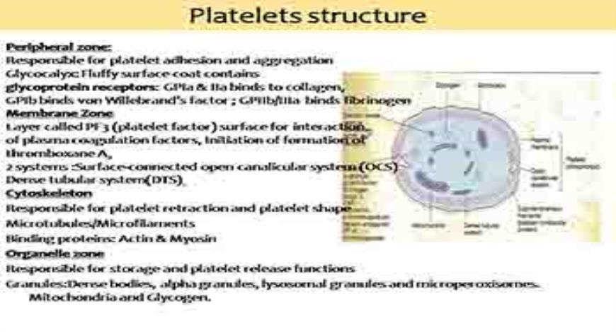 Platelet Structure Diagram