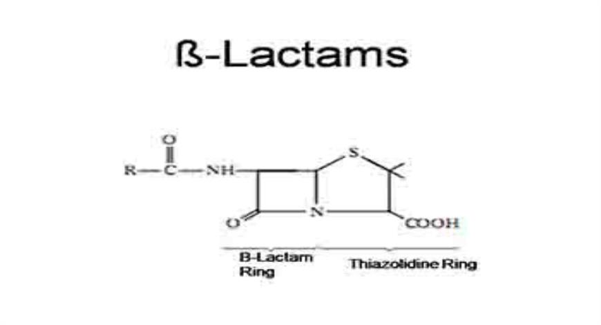 Download Free Medical Antibiotics PowerPoint Presentation