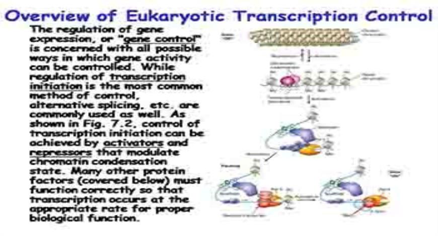 Download Free Medical Transcriptional Control of Gene Expression ...