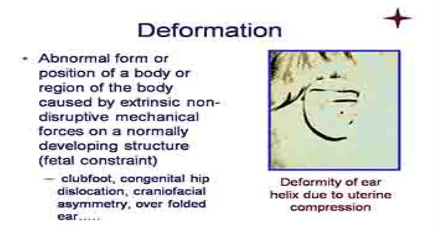 Download Free Medical An Approach to Birth Defects-Perspectives in ...