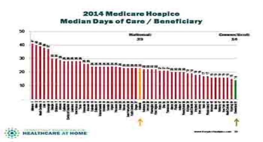 Download Free Medical Palliative Care And Hospice Care PowerPoint ...