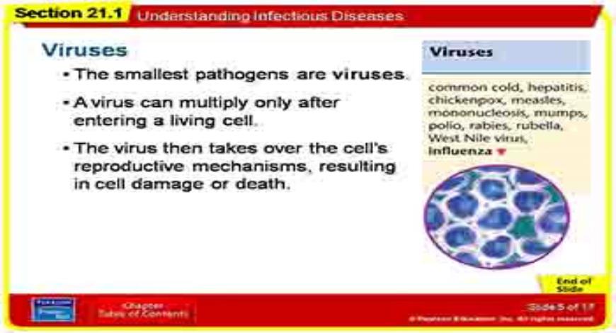 Download Free Medical Understanding Infectious Diseases PowerPoint ...