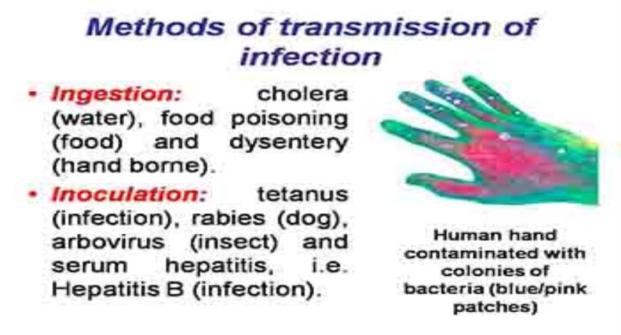 Download Free Medical Infection And Infectious Process PowerPoint ...