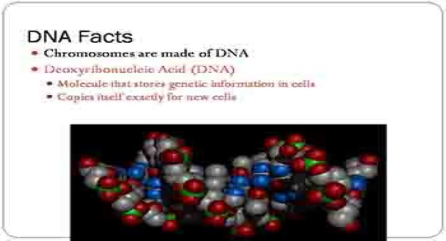 Download Free Medical DNA and RNA PowerPoint Presentation