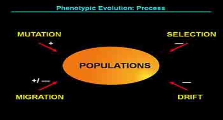 Download Free Medical Population Genetics PowerPoint Presentation