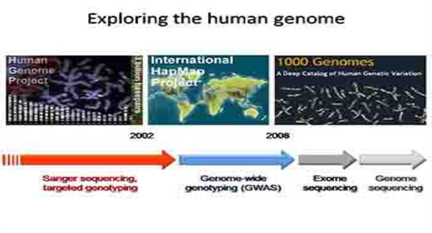 Download Free Medical An Introduction To Human Genomics PowerPoint ...