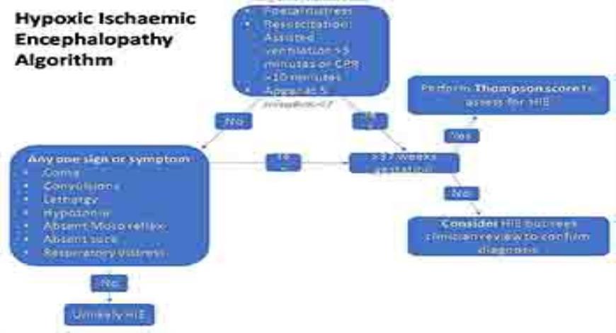 Download Free Medical Neonatal Sepsis Algorithm PowerPoint Presentation