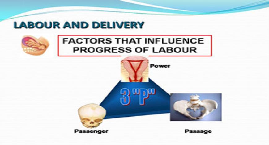 Download Free Medical Normal Labour And Delivery PowerPoint Presentation
