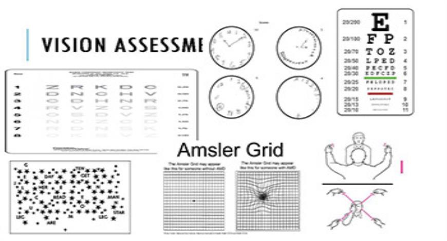Download Free Medical Vision Rehabilitation PowerPoint Presentation