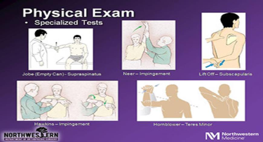 Download Free Medical Rotator Cuff Injuries PowerPoint Presentation