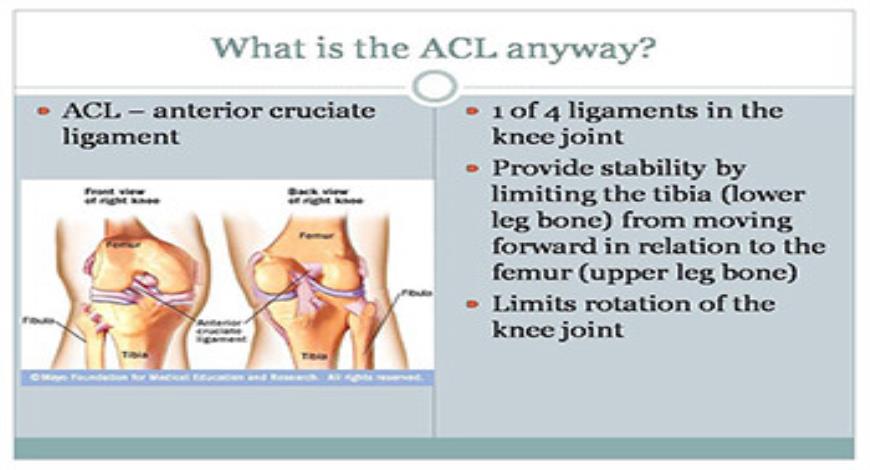 Download Free Medical Prevention And Rehabilitation For Acl Injuries ...