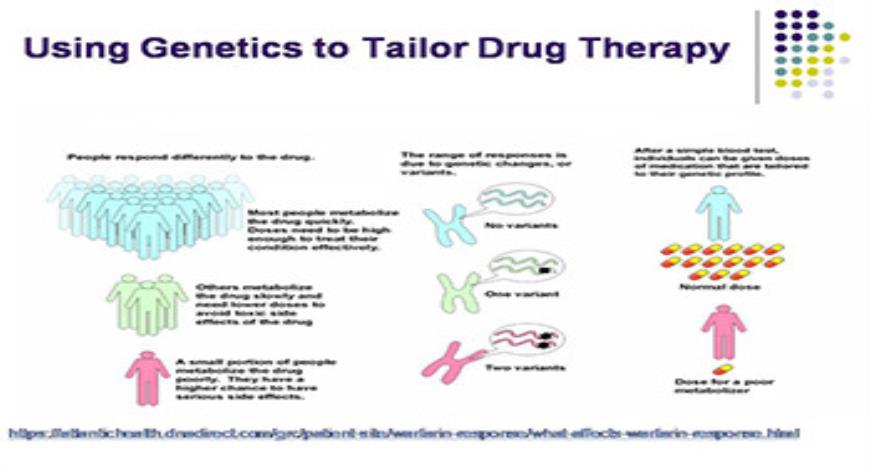 Download Free Medical Pharmacogenomics PowerPoint Presentation