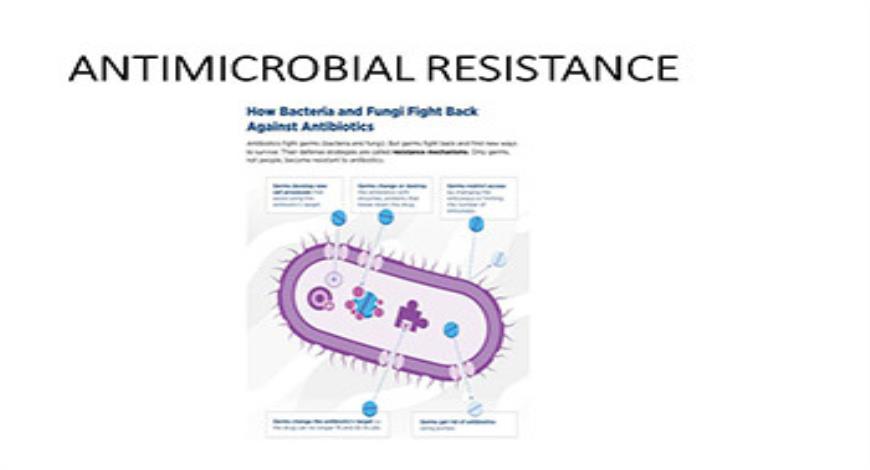Download Free Medical Antimicrobial Stewardship PowerPoint Presentation