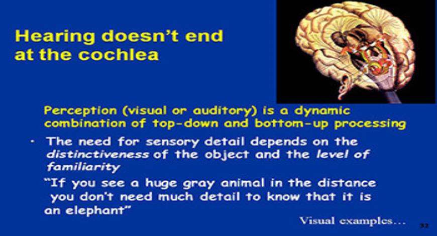 Download Free Medical Bionic Hearing PowerPoint Presentation