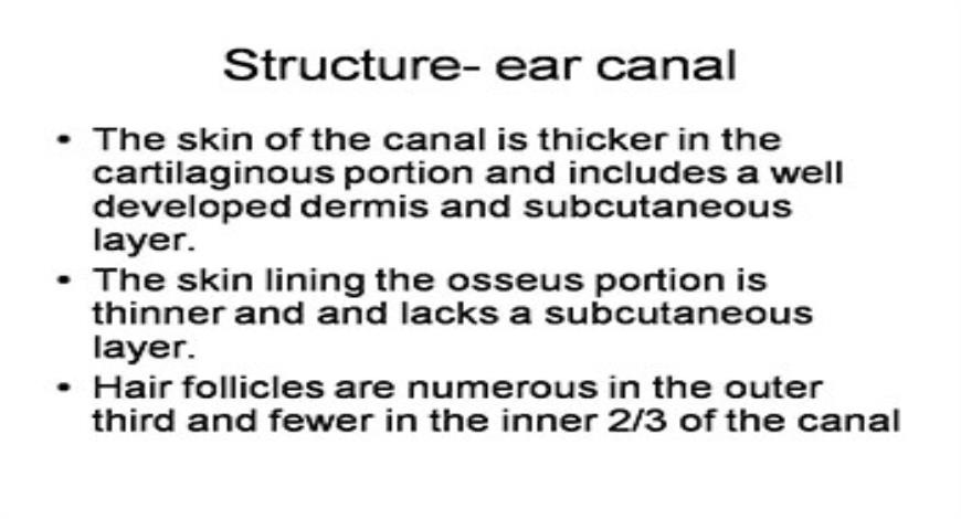 Download Free Medical Ear Infections PowerPoint Presentation