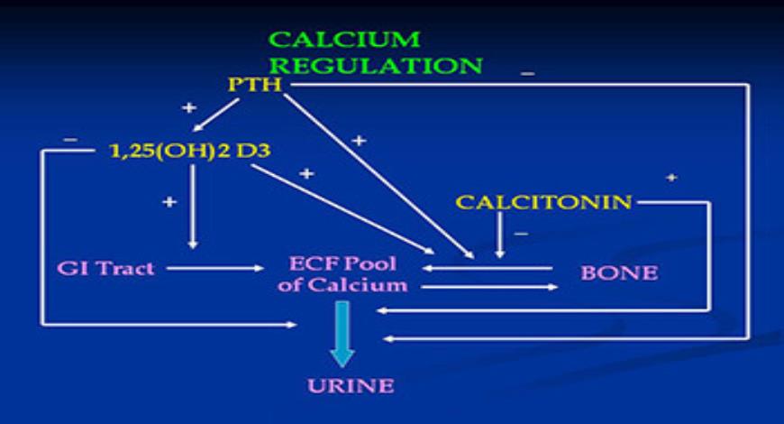 Hypercalcemia How To Approach