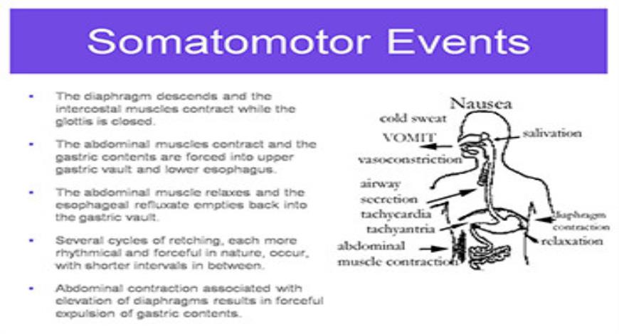 Download Free Medical Approach to The Child With Nausea and Vomiting ...