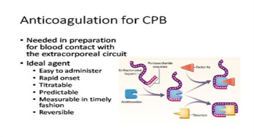 Download Free Medical Coagulation Monitoring and ROTEM PowerPoint ...